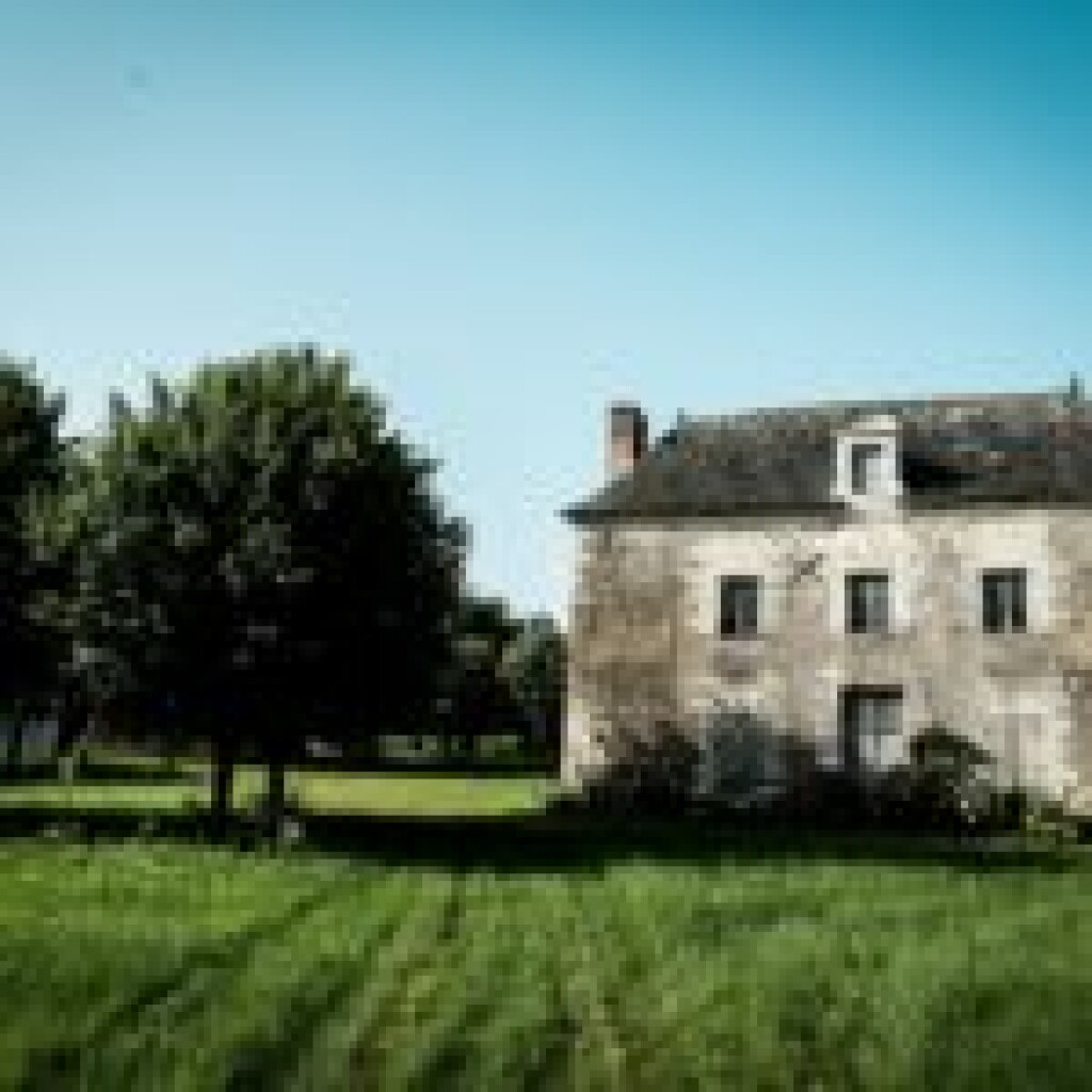 Sancerre Wine: The Loire Valley's Famous Sauvignon Blanc | WineTourism.com