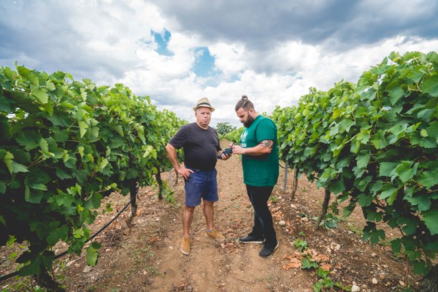 Lykos Winery in Central Greece | Winetourism.com