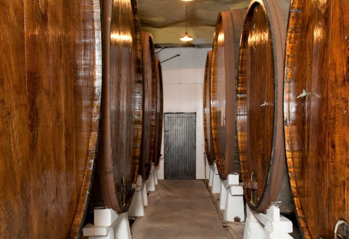 Your 2023 guide to Basque Country wine region | Winetourism.com