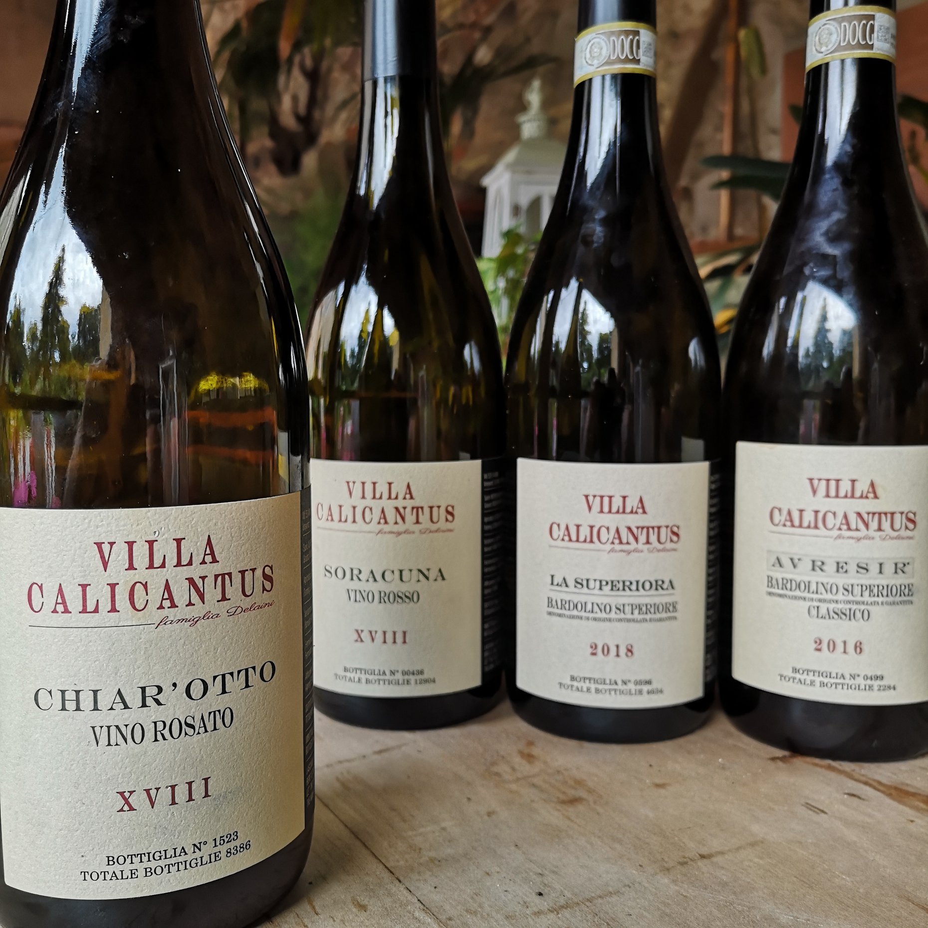 Villa Calicantus - Wine tasting in Veneto| Winetourism.com