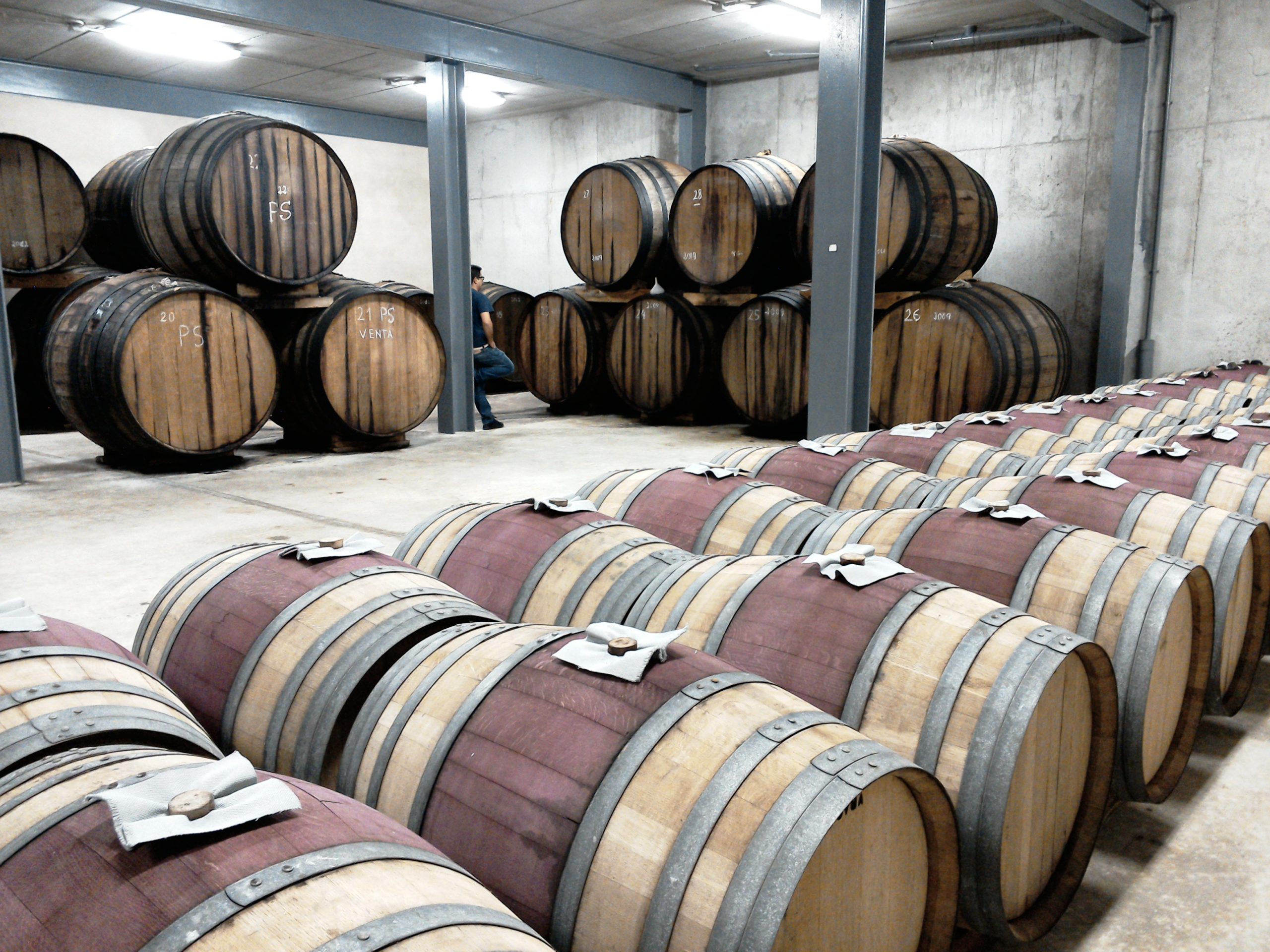 Viñedos y Bodegas Asensio Carcelén - Wine Tasting & Tour | Winetourism.com