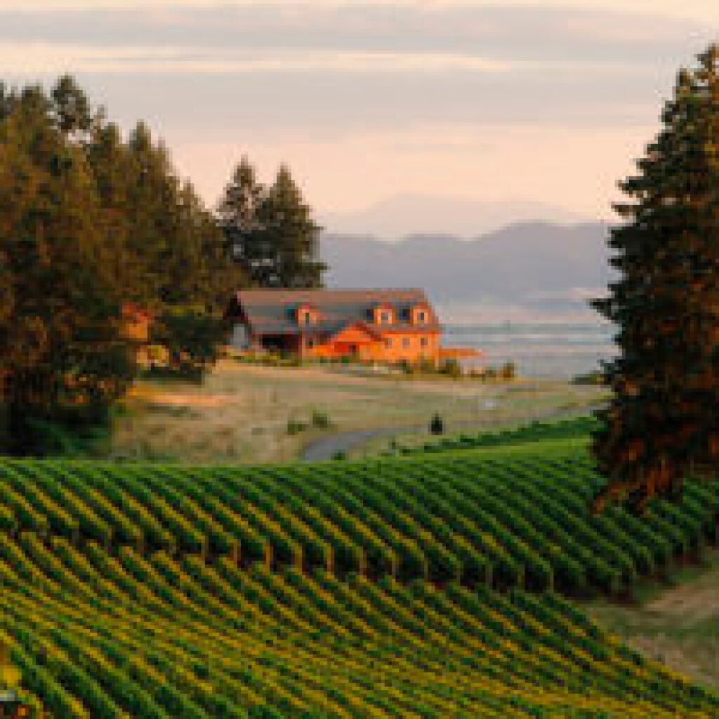 Find & Book Wineries to Visit in Oregon | WineTourism.com