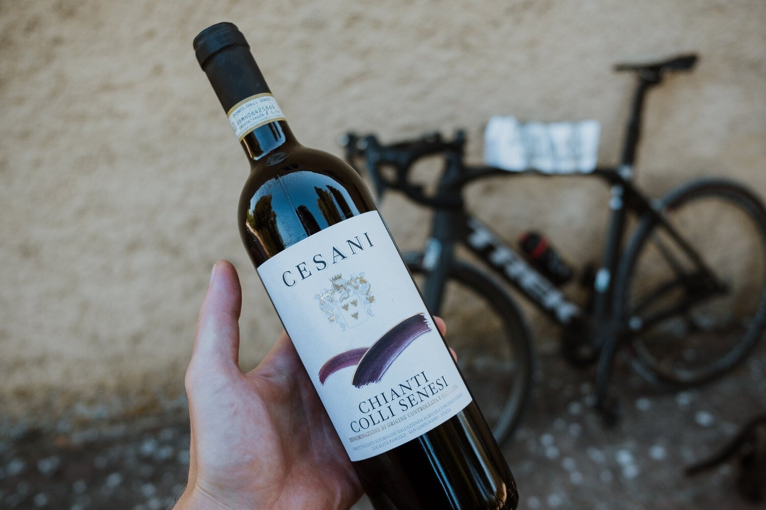 Cesani - Winery in Tuscany | Winetourism.com