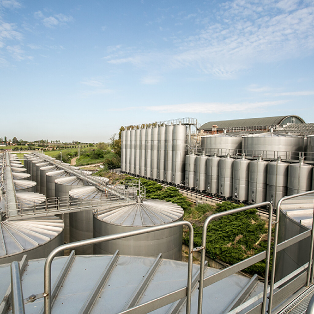 Gotto D'Oro - Winery in Lazio | Winetourism.com