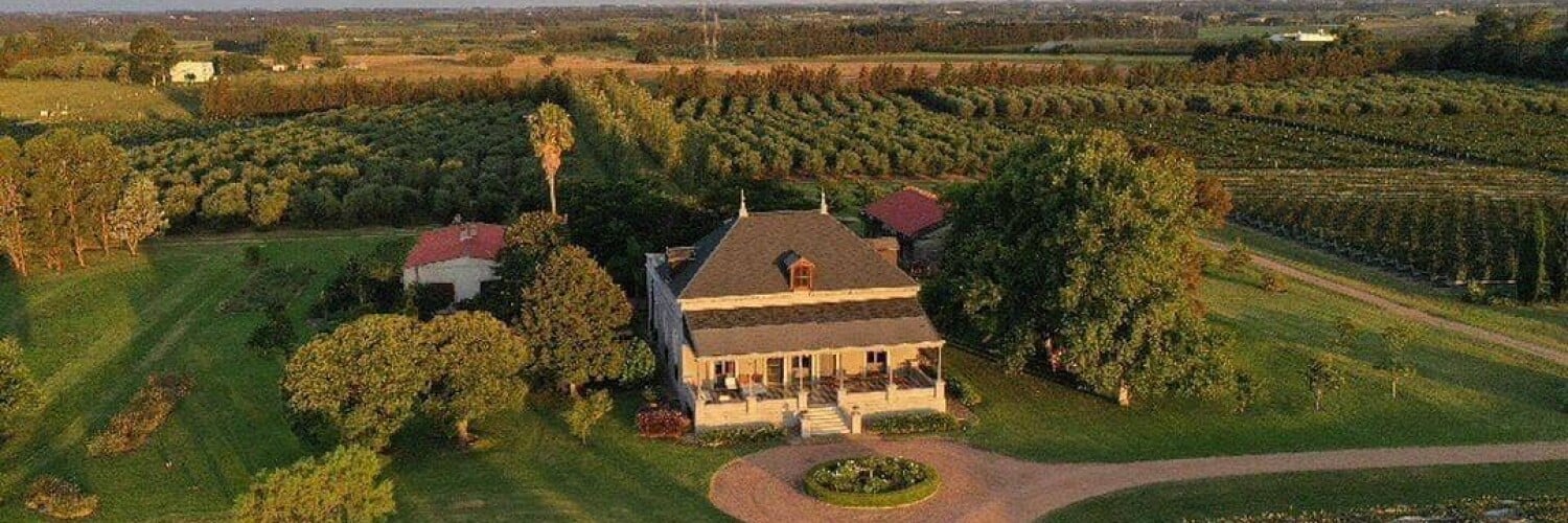 Bodega Familia Deicas Winery In Canelones Winetourism