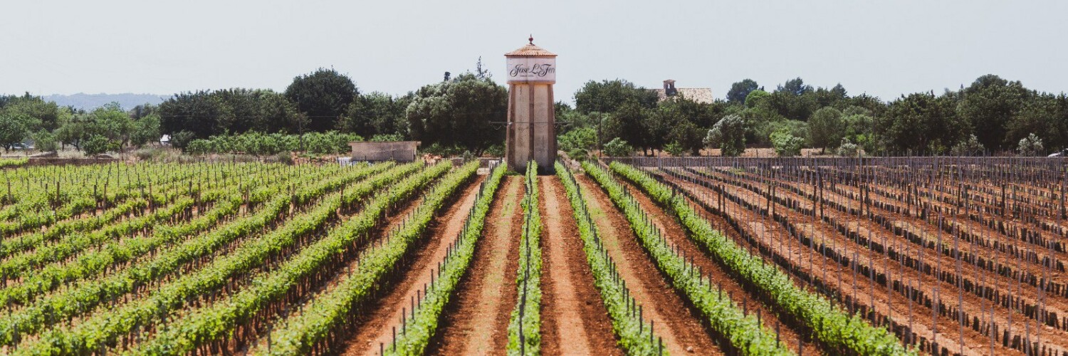 Bodegas José L. Ferrer - Winery in Mallorca | Winetourism.com