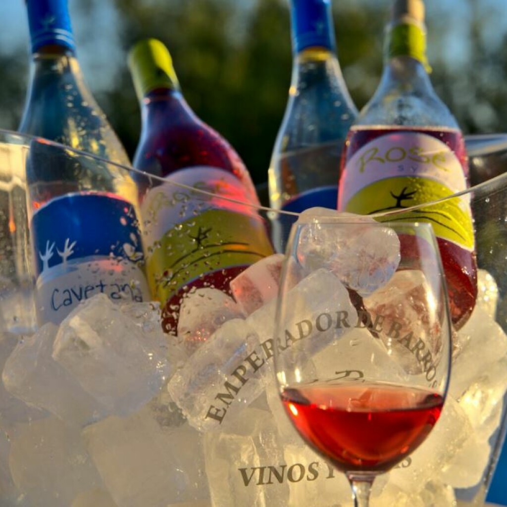 Wine Tasting & Archaeology Tour at Bodegas Viticultores | Winetourism.com