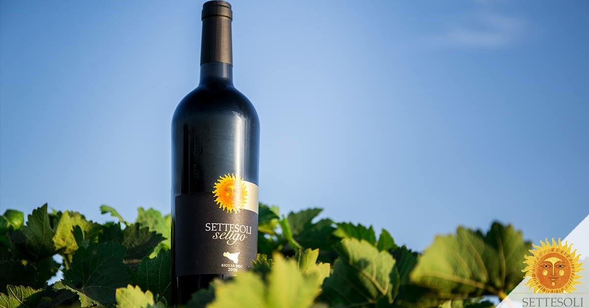 Cantine Settesoli - Winery in Sicily | Winetourism.com