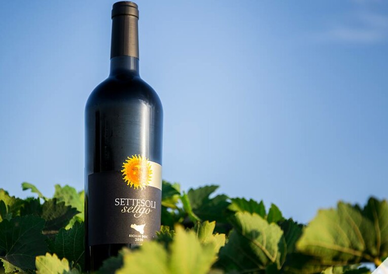 Your 2022 guide to Sicily wine region | Winetourism.com