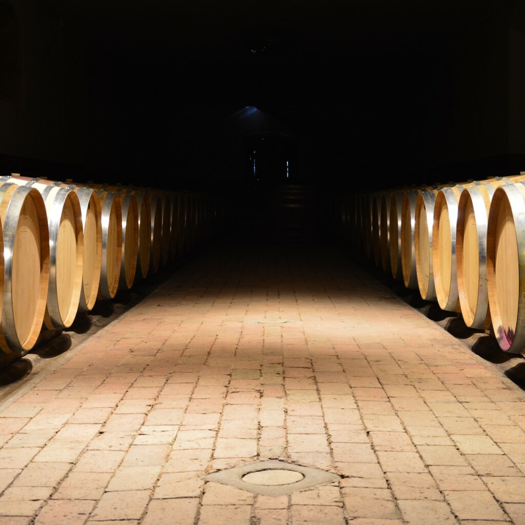 Castello del Terriccio - Winery in Tuscany | Winetourism.com