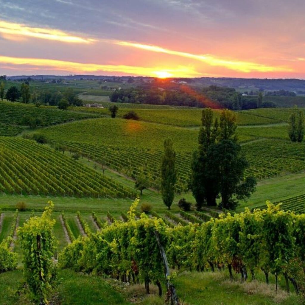 Domaine De Combet - Winery in France's South West | Winetourism.com