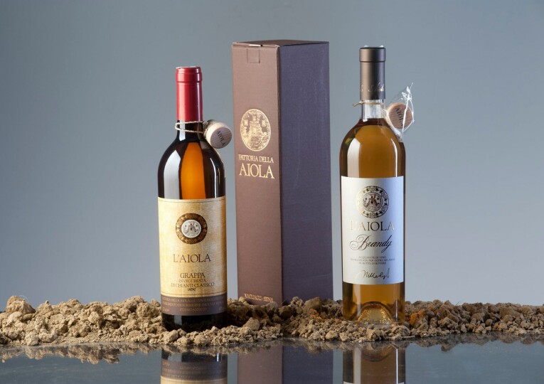 Chianti Classico - Wine Region in Tuscany, Italy | Winetourism.com