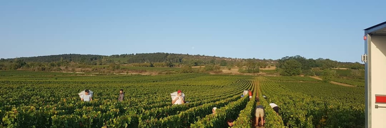 La Table De Pierre Bourée - Winery in Burgundy | Winetourism.com