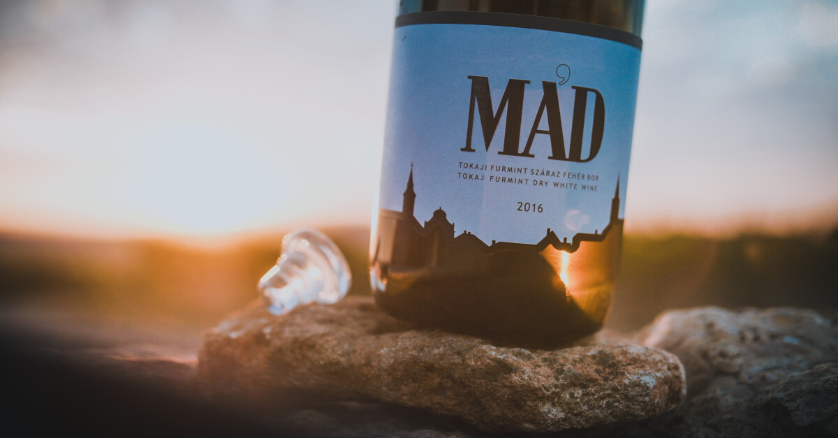 Mad Wine - Winery in Tokaj | Winetourism.com
