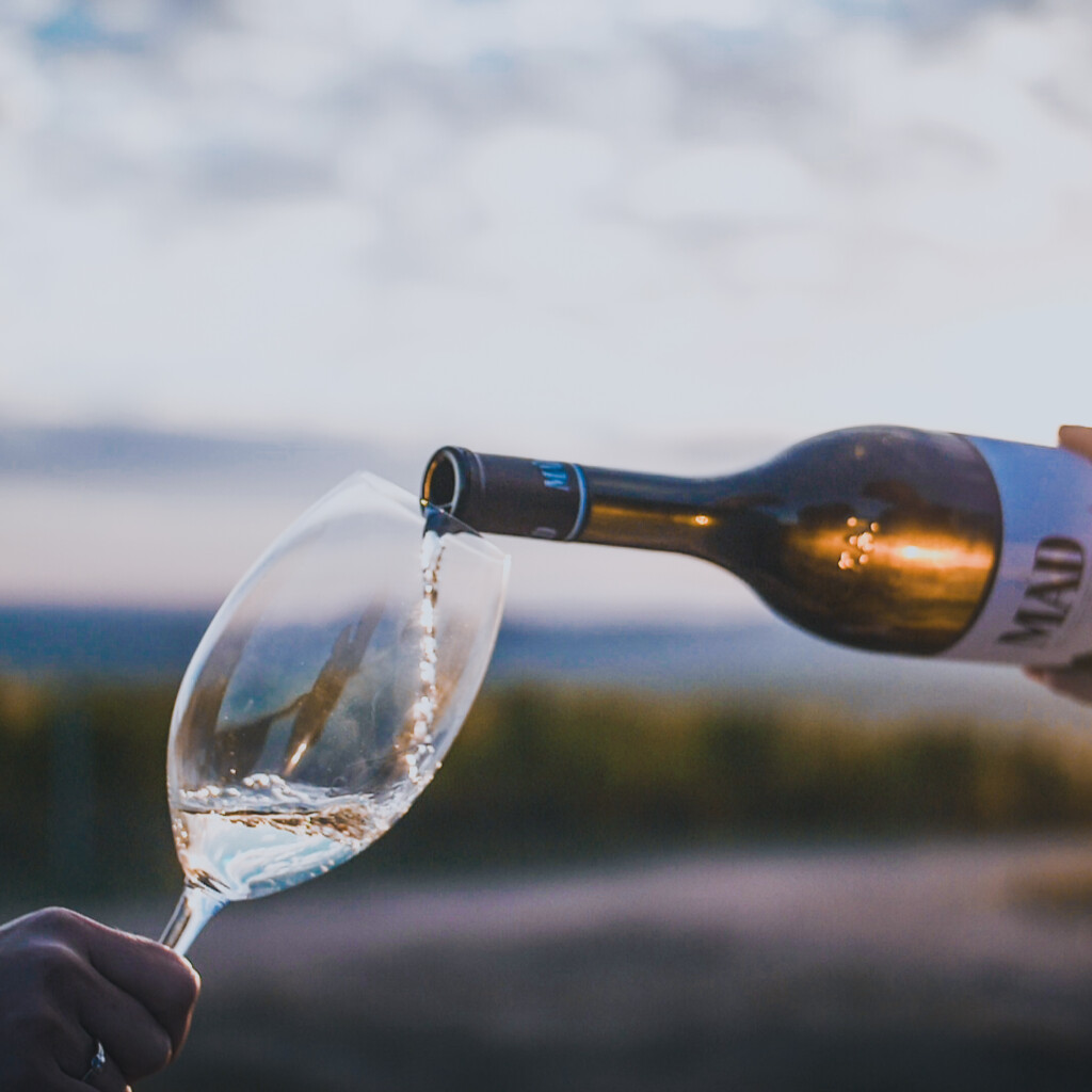 Wine Tasting & Tour at Mad Wine in Tokaj, Hungary | Winetourism.com