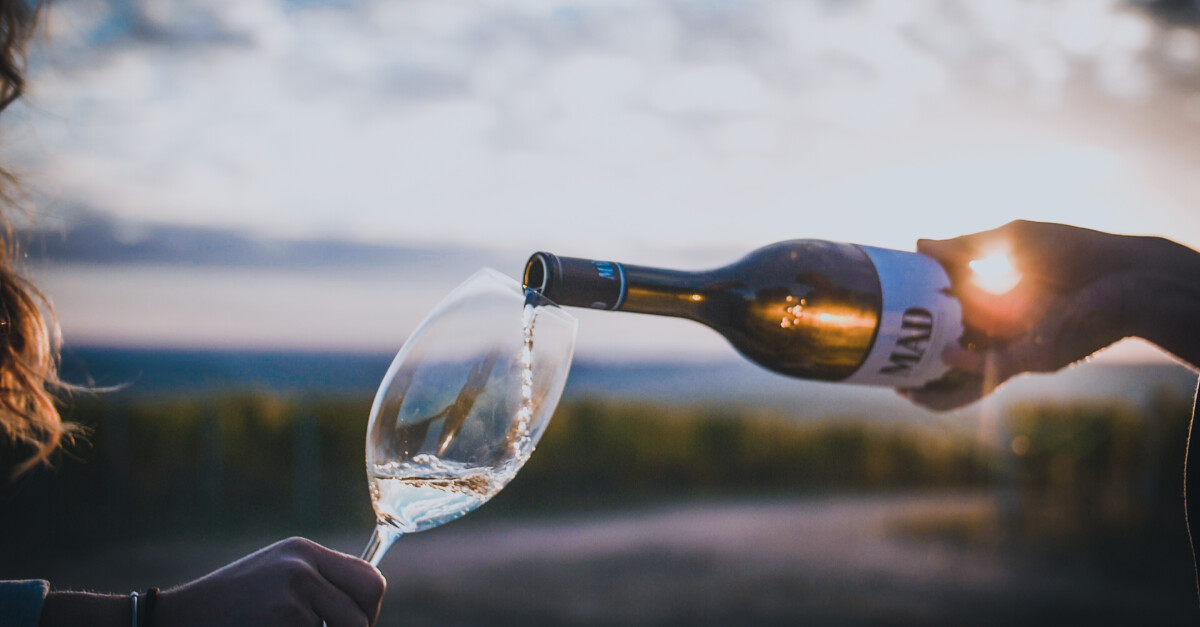 Wine Tasting & Tour at Mad Wine in Tokaj, Hungary | Winetourism.com
