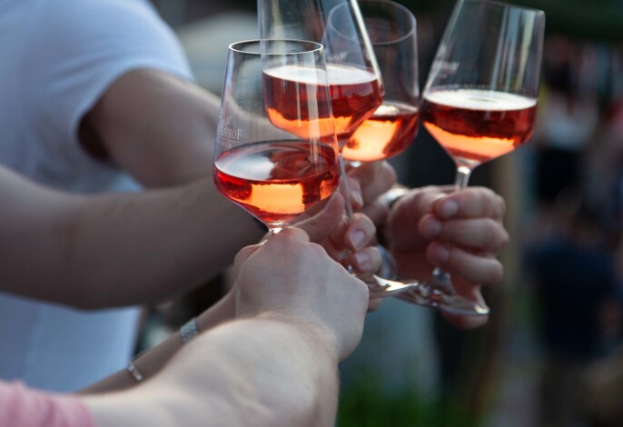 Your 2023 guide to Saar in Mosel Wine Region region | Winetourism.com