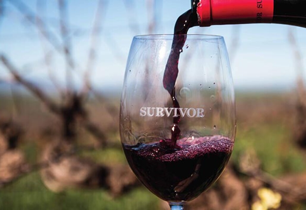 10 best wine tours & tastings in Paarl 2023 | Winetourism.com