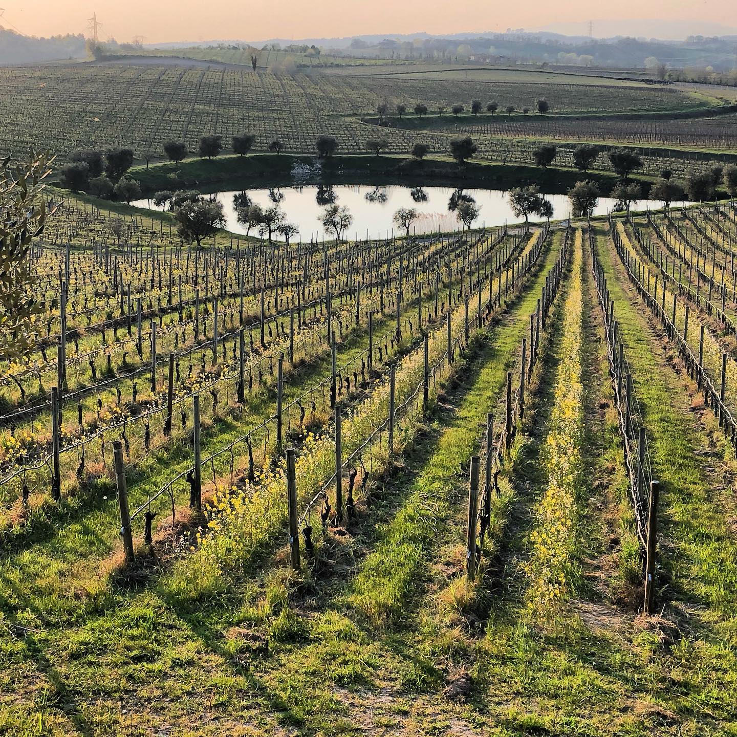 Perla Del Garda - Wine tasting & tour | Winetourism.com