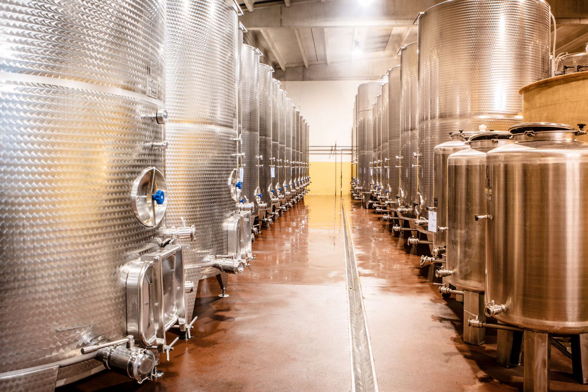 Scarbolo - Winery in Friuli | Winetourism.com