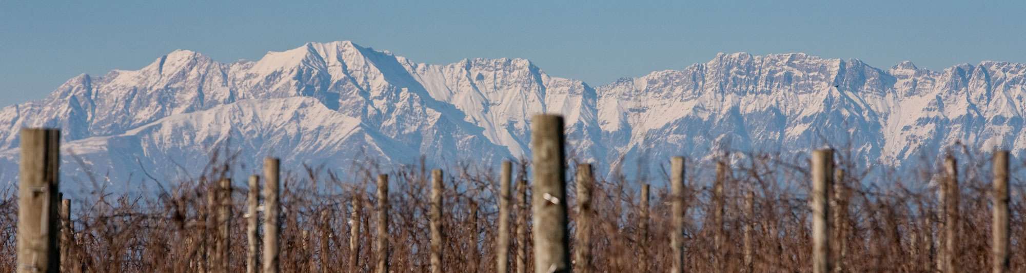 Scarbolo - Winery in Friuli | Winetourism.com