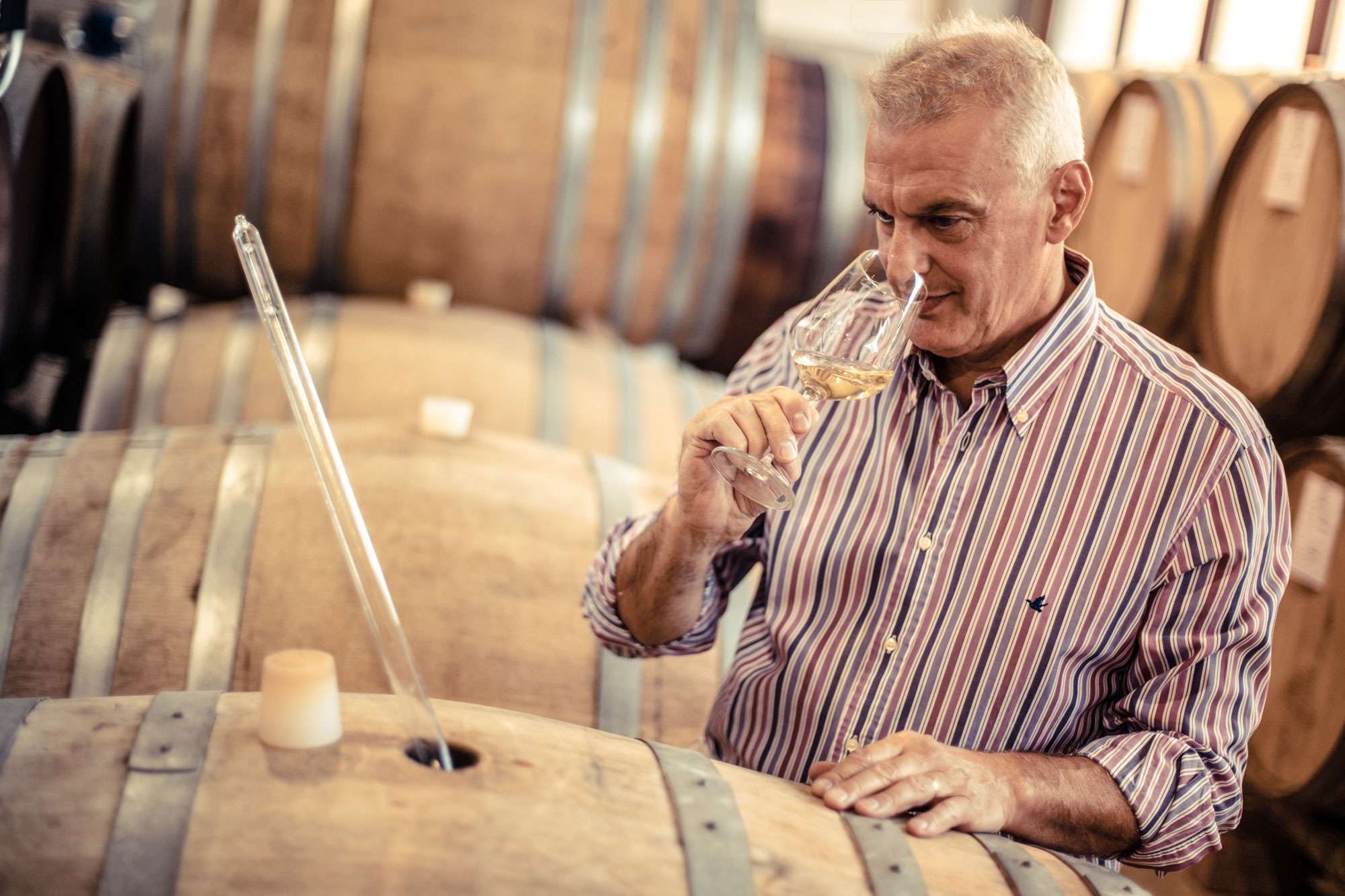 Scarbolo - Winery in Friuli | Winetourism.com