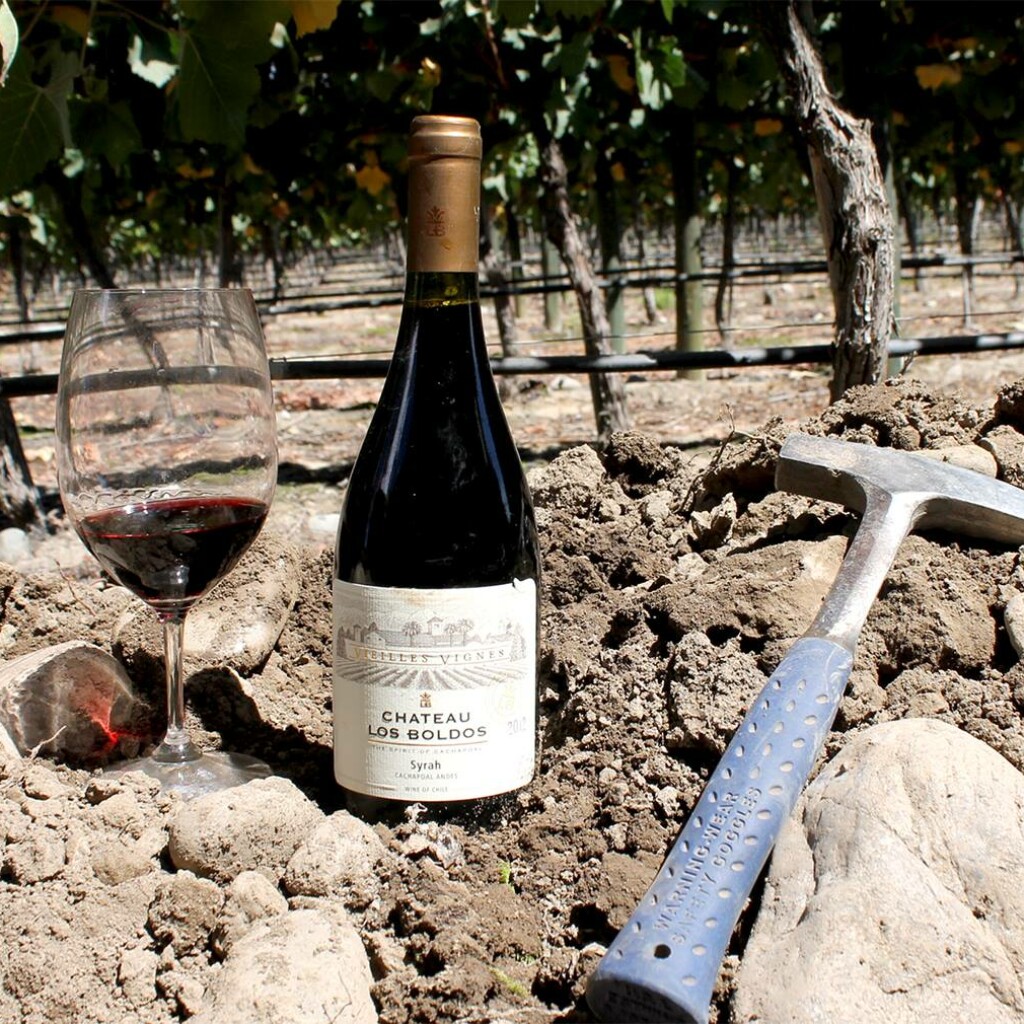Viña Los Boldos - Winery in Rapel | Winetourism.com