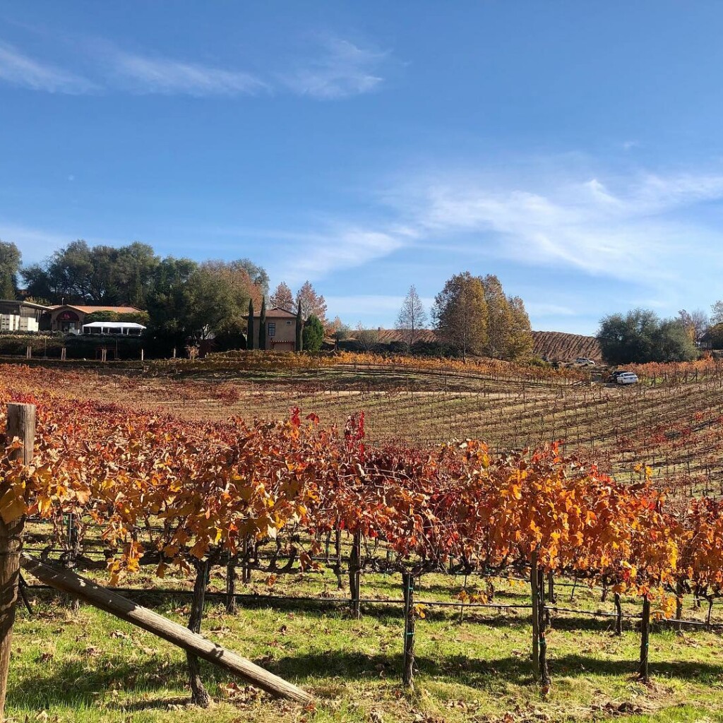 Wise Villa Winery - Winery in California | Winetourism.com