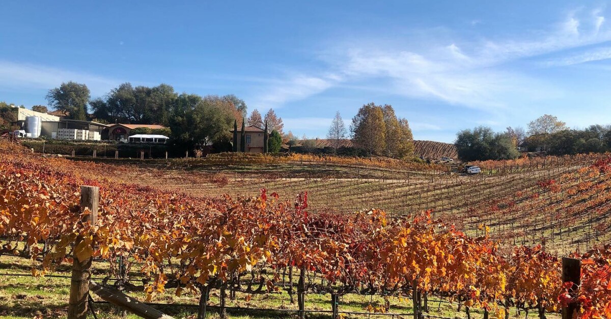 Wise Villa Winery - Winery in California | Winetourism.com