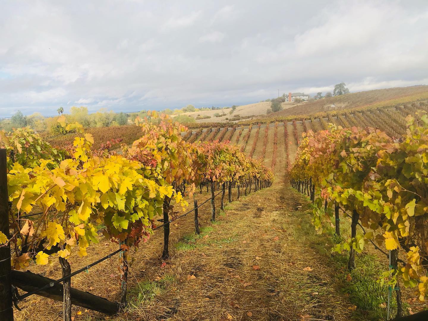 Wise Villa Winery - Winery in California | Winetourism.com