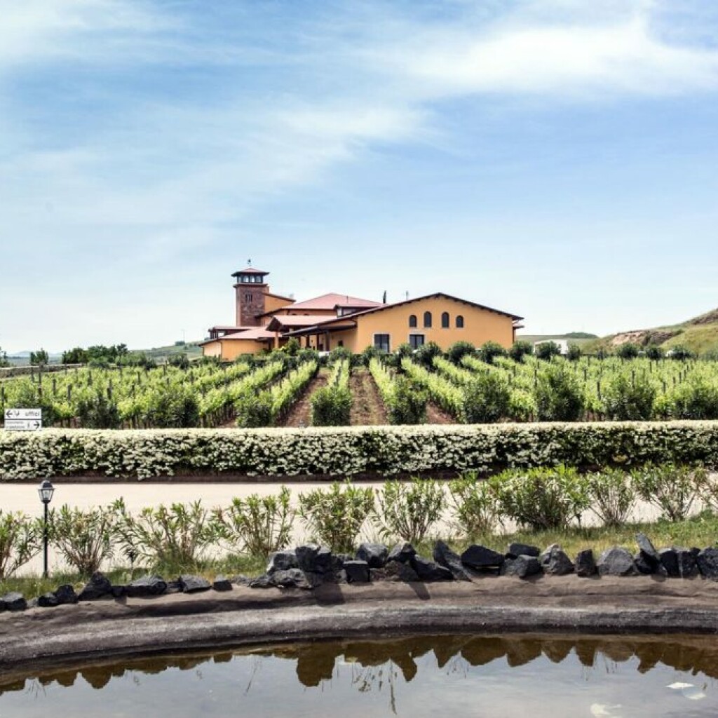 Find & Book Wineries to Visit in Basilicata | WineTourism.com
