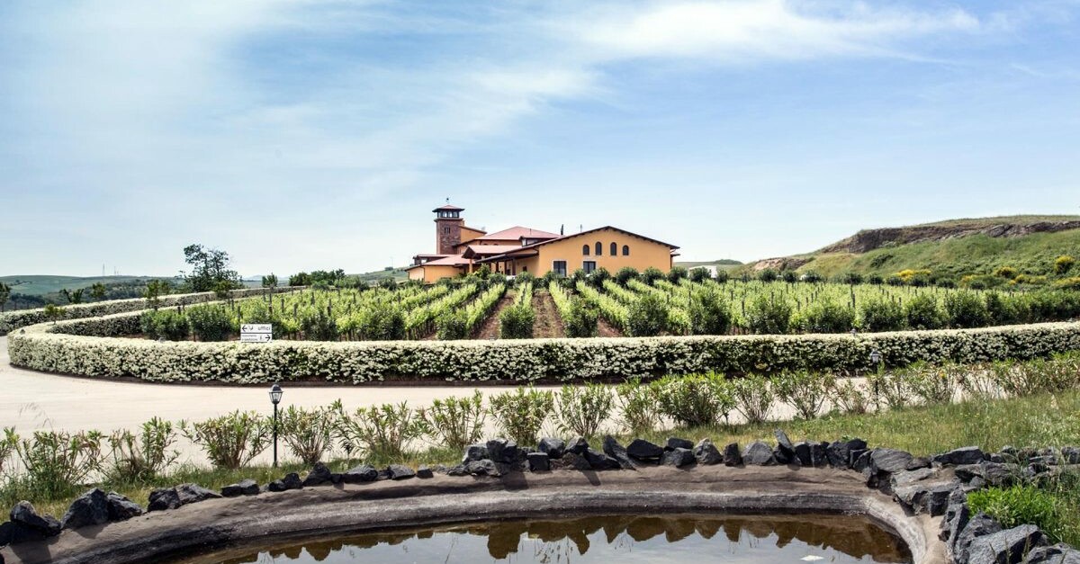 Find & Book Wineries to Visit in Basilicata | WineTourism.com