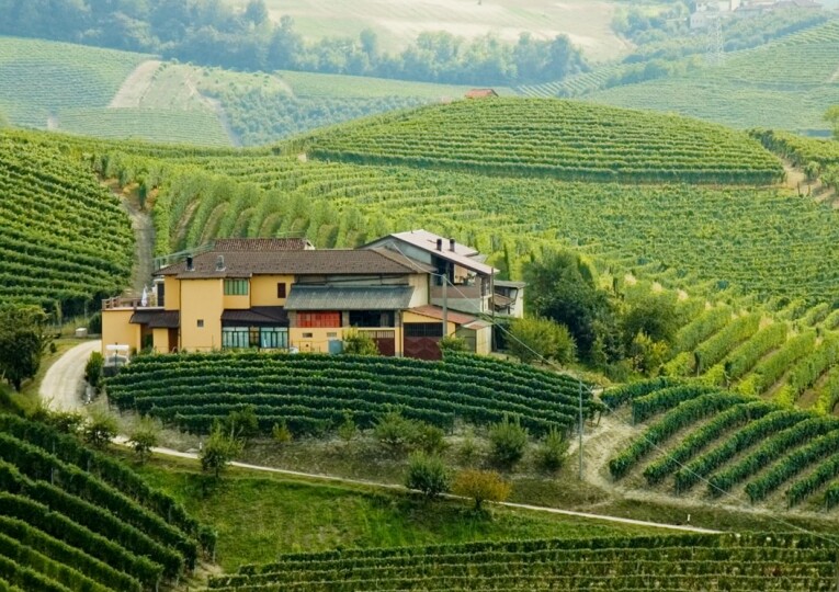 10 best wineries in Piedmont to visit in 2022 | Winetourism.com