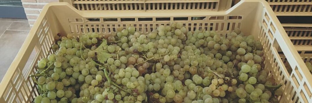 Bindella Tenuta Vallocaia - Winery in Tuscany | Winetourism.com
