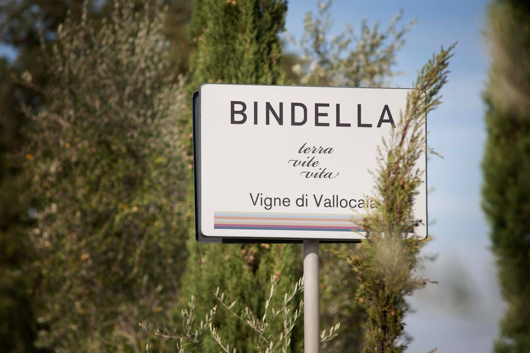 Bindella Tenuta Vallocaia - Winery in Tuscany | Winetourism.com