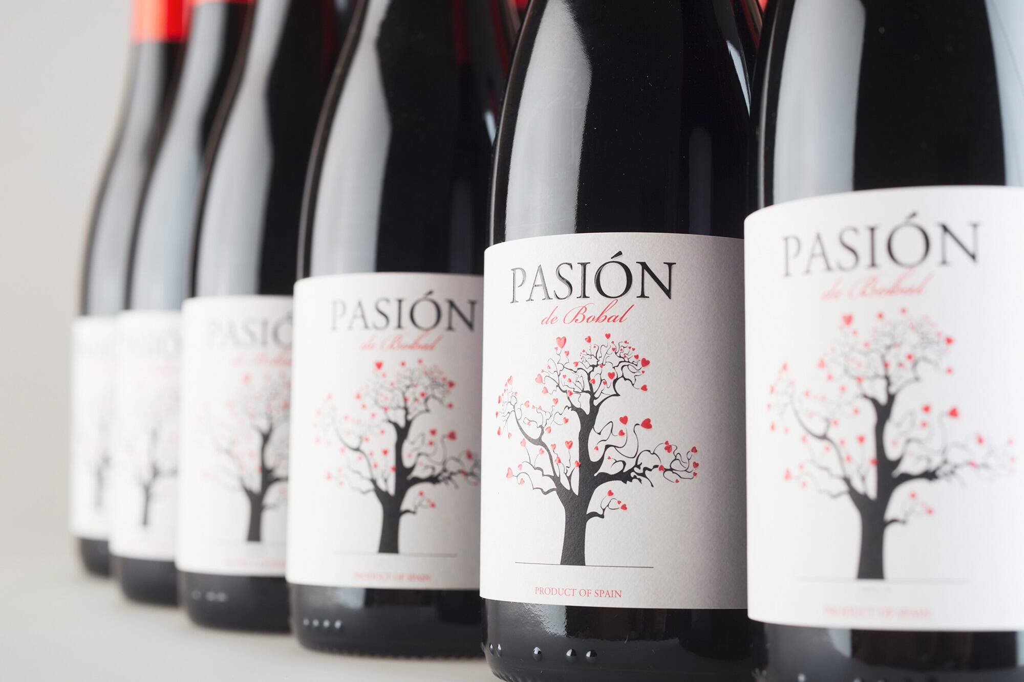 Sierra Norte - Calderon Experience in Valencia | Winetourism.com