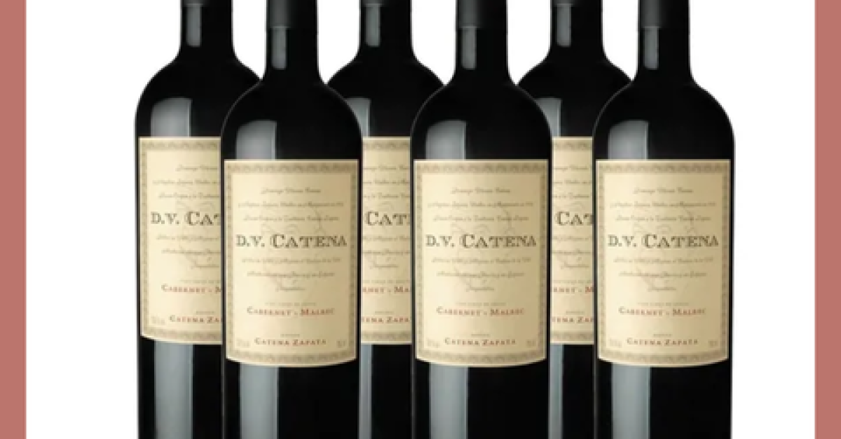 Intervino Wine Tasting in Lujan de Cuyo, Argentina | Winetourism.com