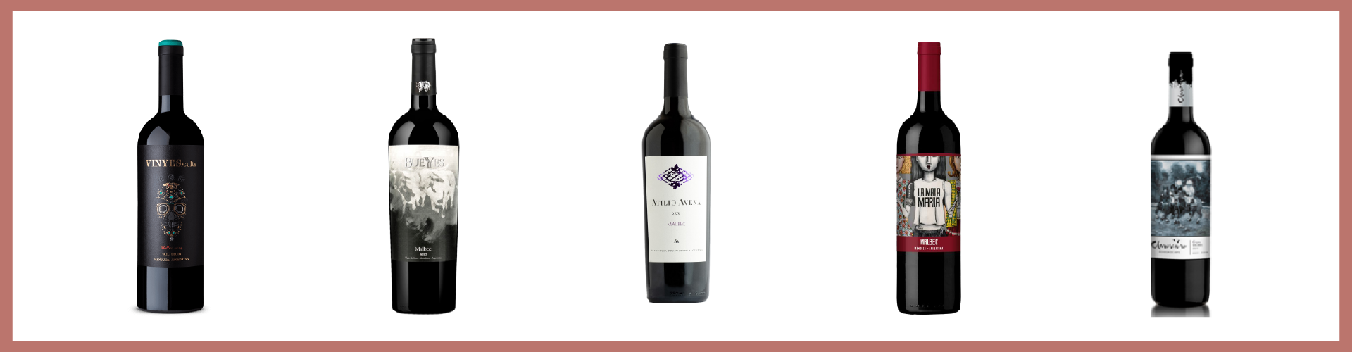 Intervino - Premium Wine tasting in Cuyo | Winetourism.com