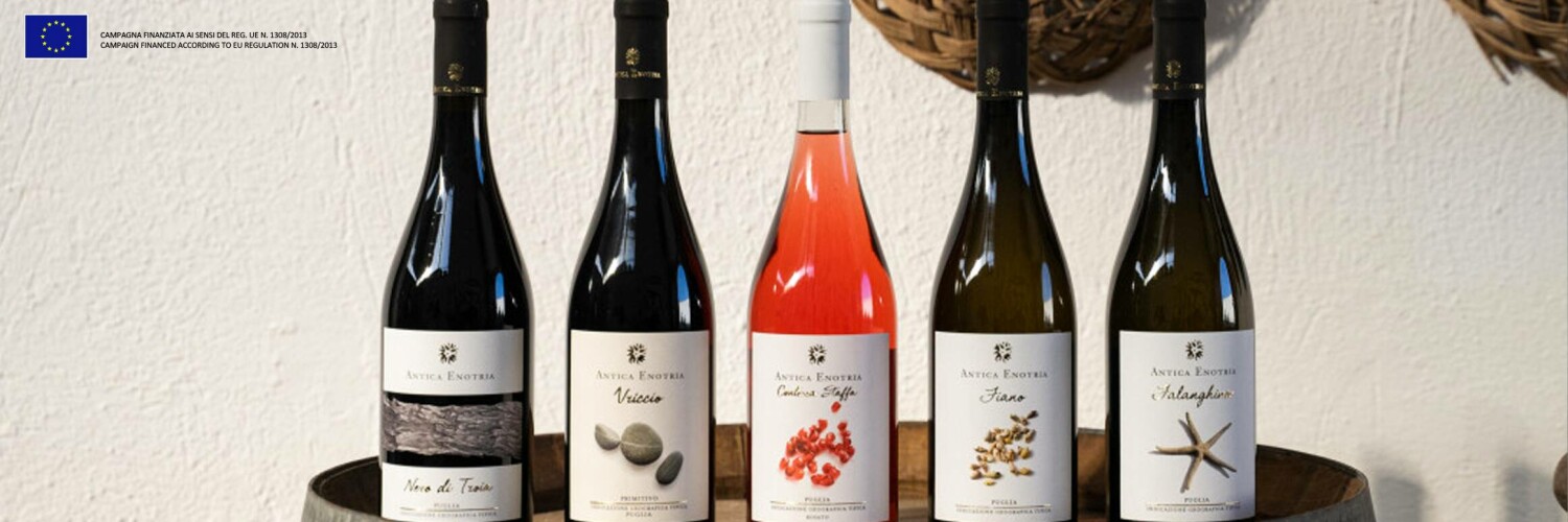 Antica Enotria- Winery in Puglia | Winetourism.com
