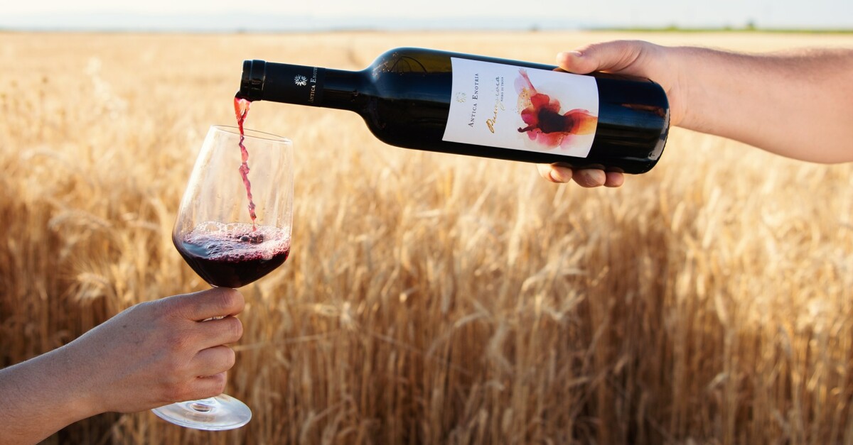Antica Enotria - Wine Tasting and Tour| Winetourism.com
