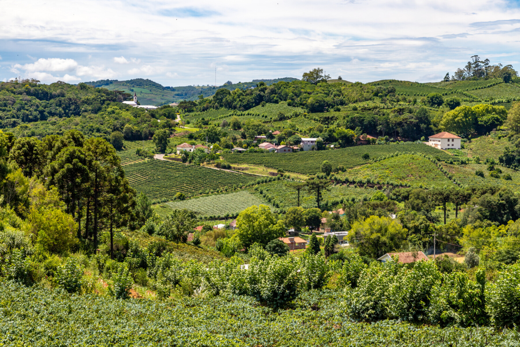 Wine Tourism in Brazil | WineTourism.com