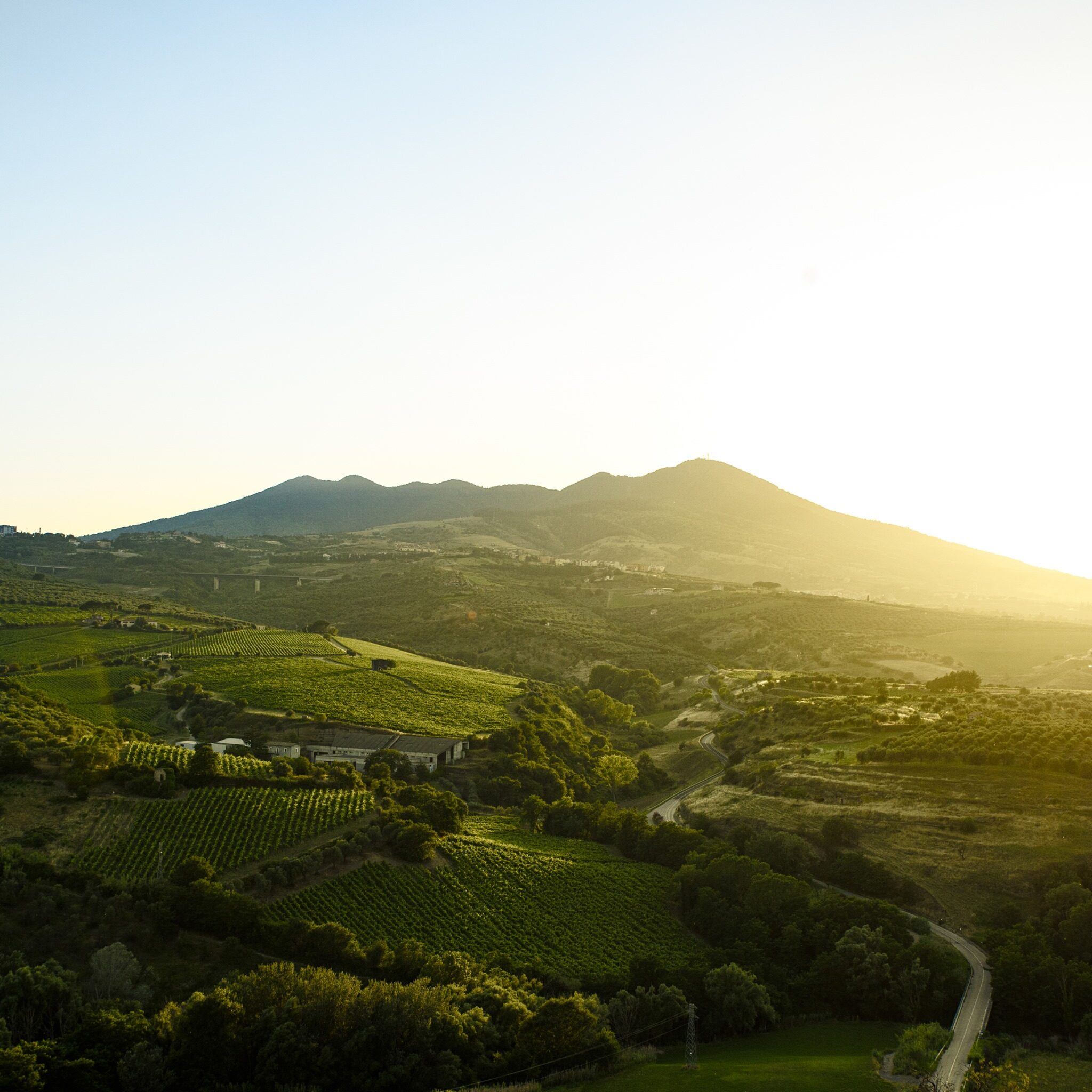Casa Vinicola D'Angelo - Popular Wine Tasting and Tour | Winetourism.com
