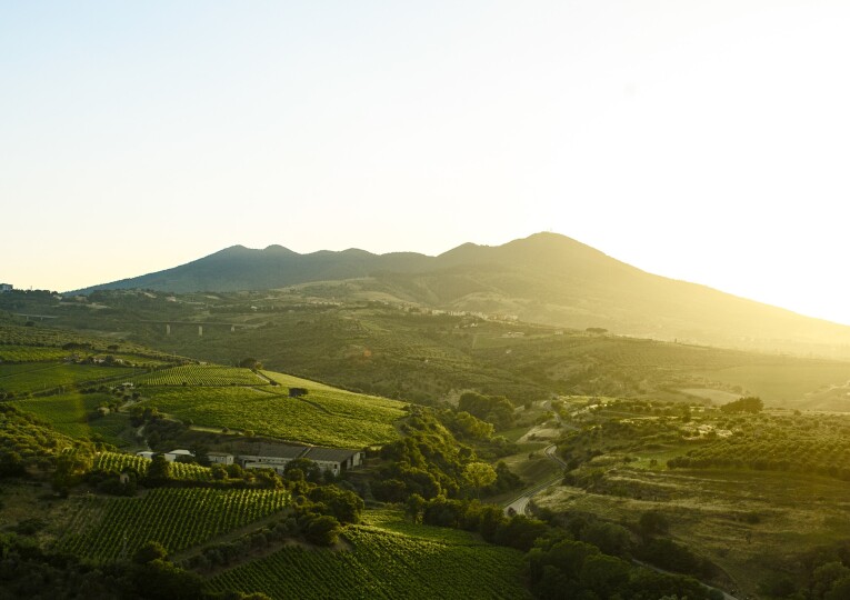 Basilicata Wine Region, Italy | Winetourism | Winetourism.com