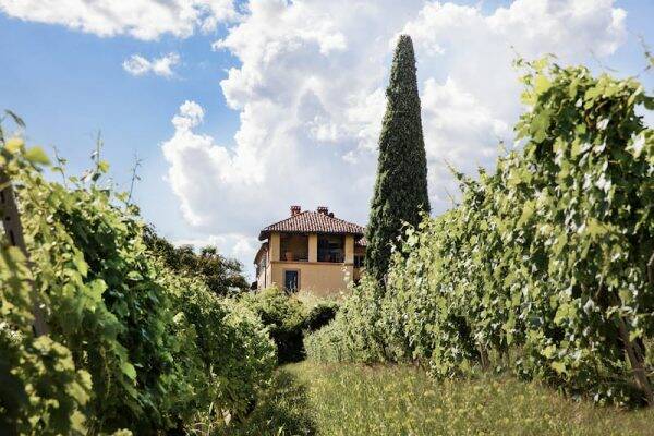 Cascina Gilli - Wine Tasting and Tour | Winetourism.com