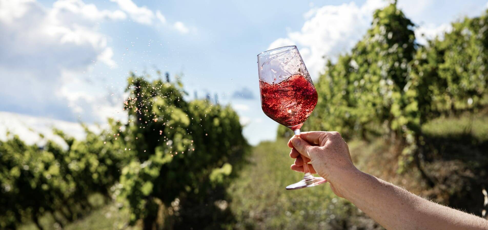 Cascina Gilli - Winery in Piedmont| Winetourism.com