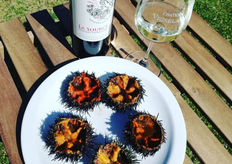 10 best wine tours & tastings in Provence 2022 | Winetourism.com