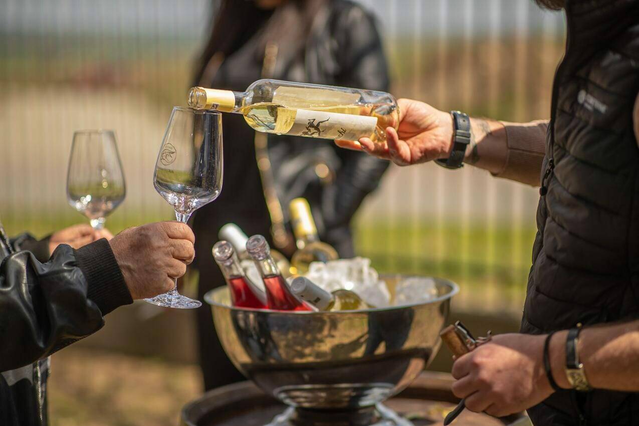 Crama Histria - Wine Tasting | Winetourism.com