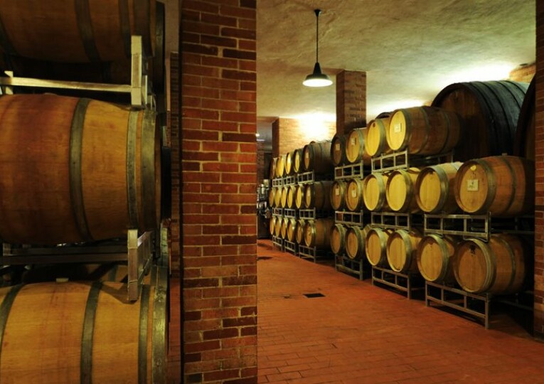 Dosio Vigneti Srl - Winery in Piedmont | Winetourism.com