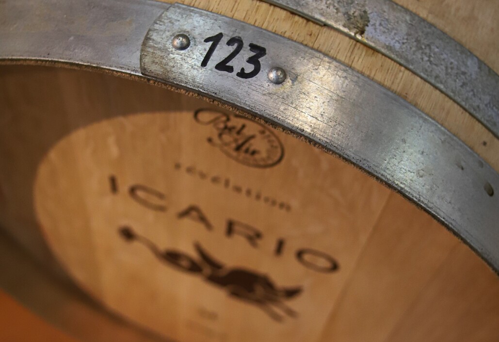 Icario Winery- Winery in Tuscany | Winetourism.com