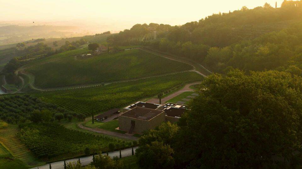 Icario Winery- Gold Wine Tasting | Winetourism.com